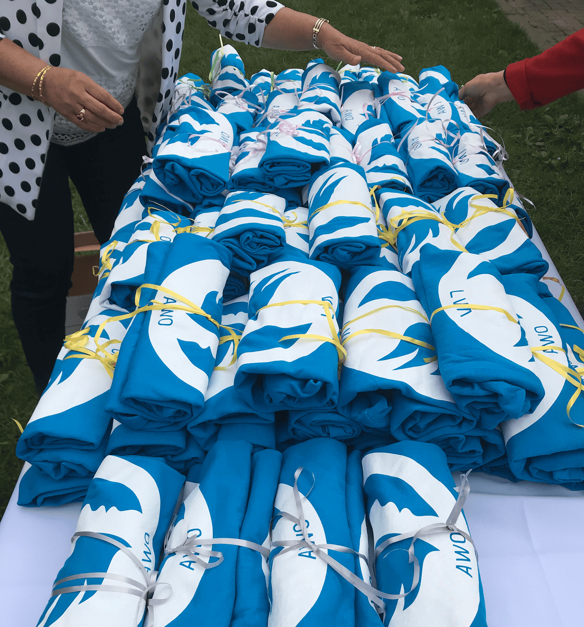 Donate - Afghan Women's Organization